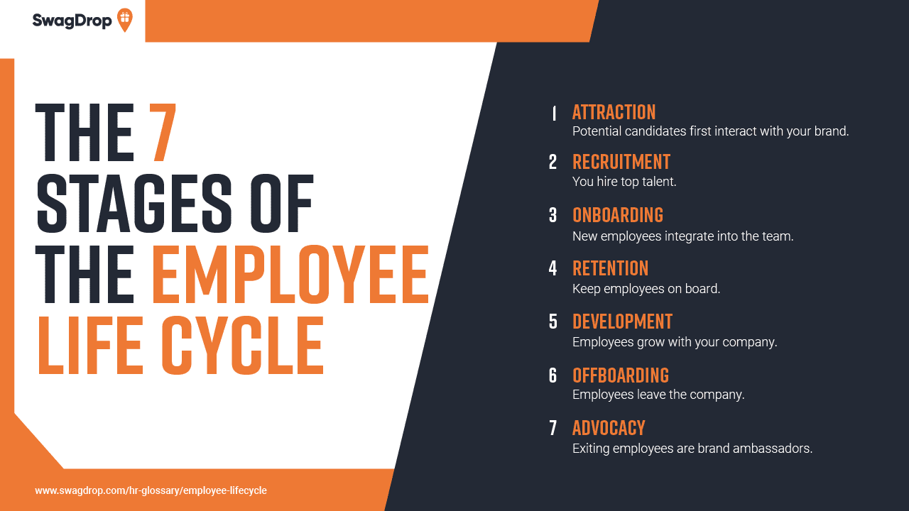 Employee Life Cycle: Definition & Key Stages