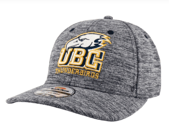 Best 15 University Merchandise Ideas to Attract Top Students