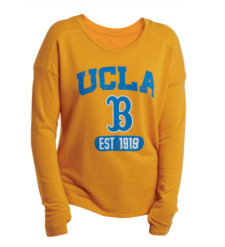 Best 15 University Merchandise Ideas to Attract Top Students